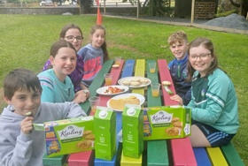 Green School Committee Celebrations - St Patricks National School Bruree