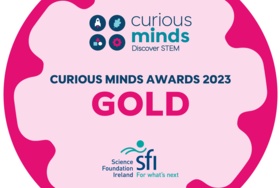 Curious Minds Award 2023 - St Patricks National School Bruree